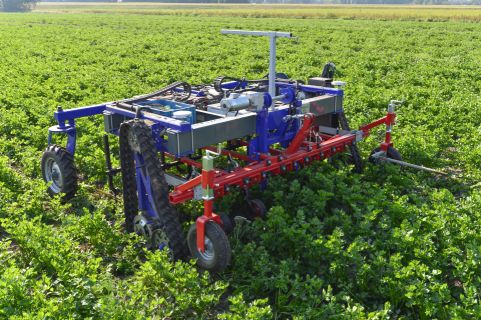 Vind meer dan 3 Overige schoffelmachines op AgriTrader.nl